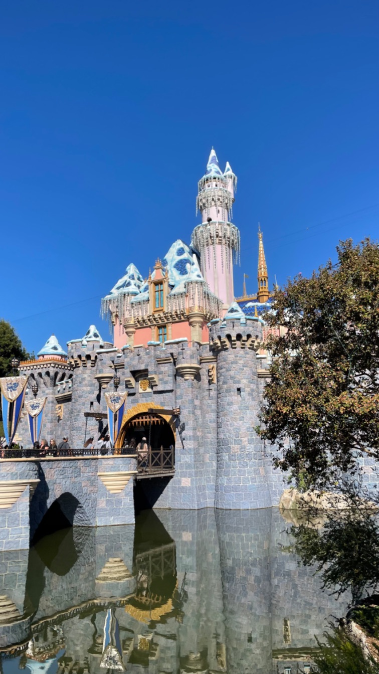 원조 LA 디즈니랜드 다녀왔어요^^ - 자유게시판 | 후잉가계부